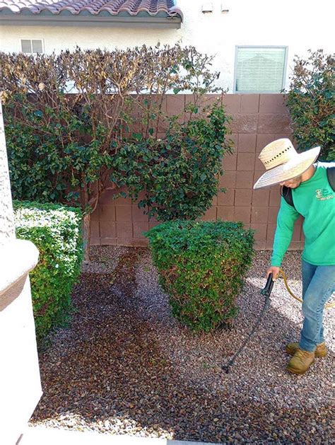 Image result for Weed Control Service