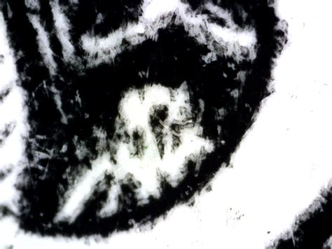 Image result for Dynamic Magnification