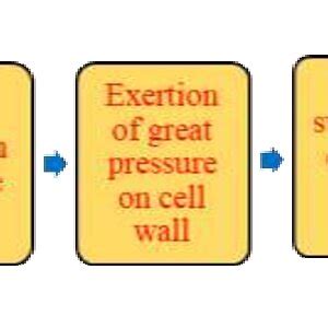 Image result for Microwave Extraction