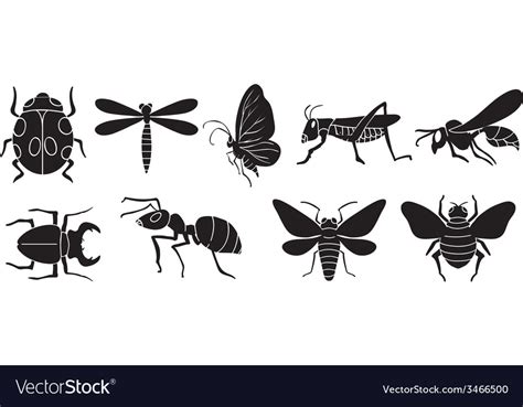 Image result for Insects Group