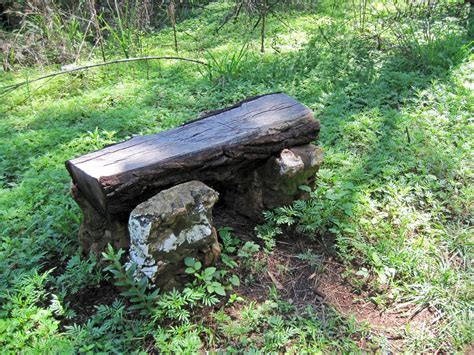 Image result for How to Split a Log