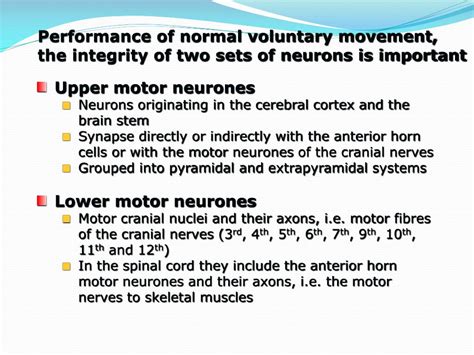 Image result for Extrapyramidal System Function