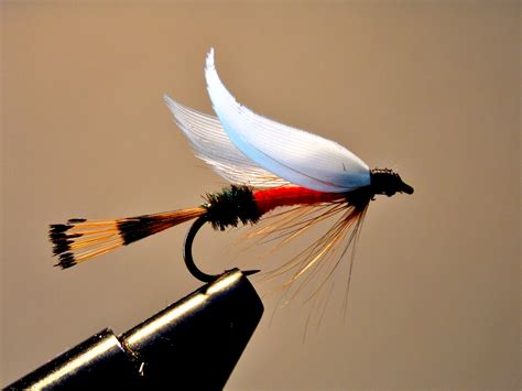 Image result for Royal Coachman Fly Pattern