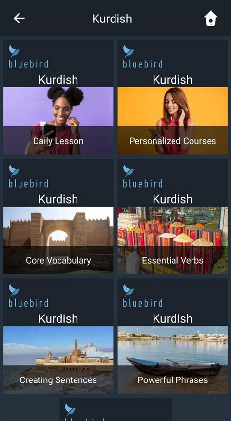 Image result for Learning Python Kurdish