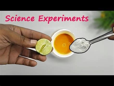 Image result for Examples of Scientific Experiments