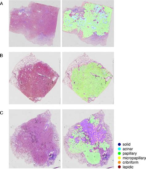 Image result for Model Prediction Formulas