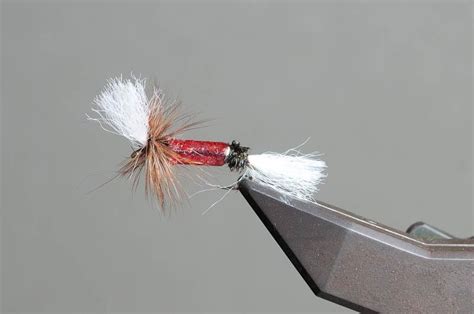 Image result for Royal Coachman Fly Pattern