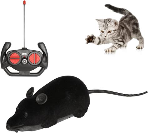 Image result for Remote Control Cat