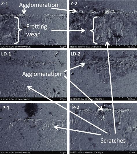 Image result for Scanning Electron Microscope Magnification