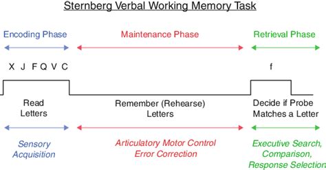 Image result for Sternberg Task PsychoPy Build