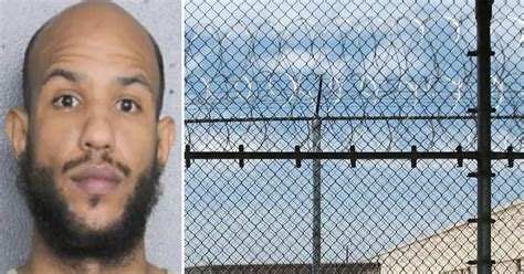 Image result for Slap Box Fight