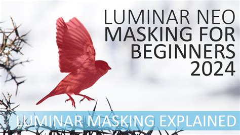 Image result for Luminar Tutorials Masks