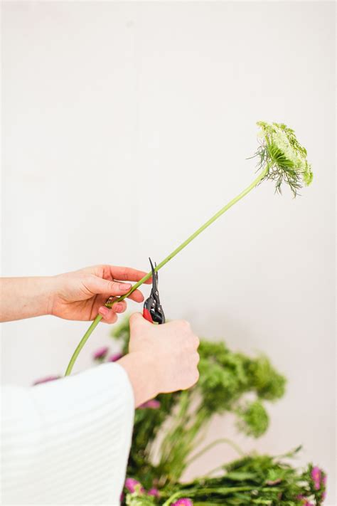 Image result for DIY Flower Photo Booth Backdrop
