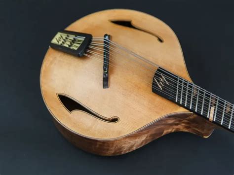 Image result for 10 String Mandolin