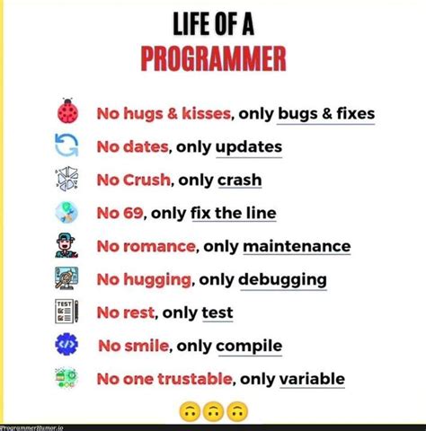 Image result for Programmer Meme Debug