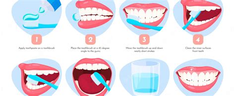 Image result for How to Use Toothbrush