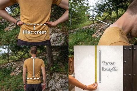 Image result for Measuring Torso Length for Backpack