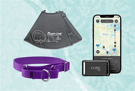 Image result for Best Training Collars for Dogs