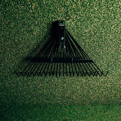 Image result for Spring Rake Head