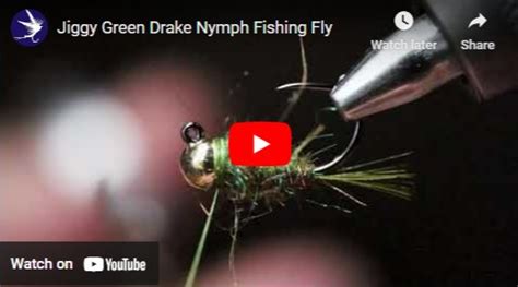 Image result for Green Drake Nymph Patterns