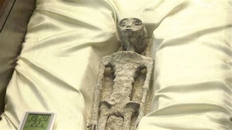 Image result for Alien Animals Found