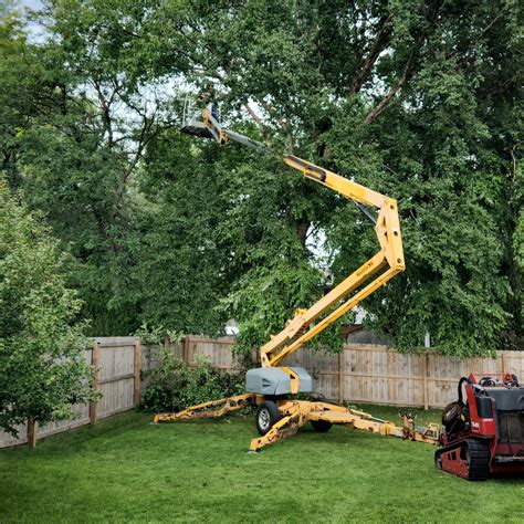 Image result for Tree Lift