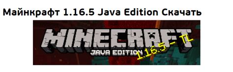 Image result for Minecraft 1.16.5 Java PC Free