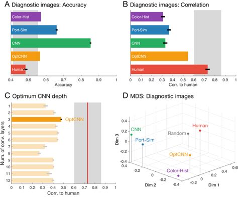 Image result for Human Image Net Accuracy