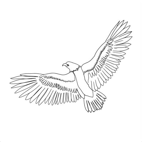 Image result for Simple Drawing of a Hawk