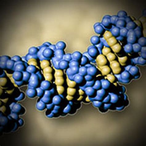 Image result for RNA Interference