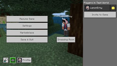 Image result for Minecraft Java ScreenShot