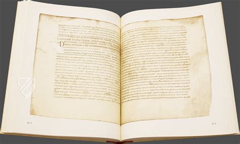 Image result for Tips and Tricks for Using Codex