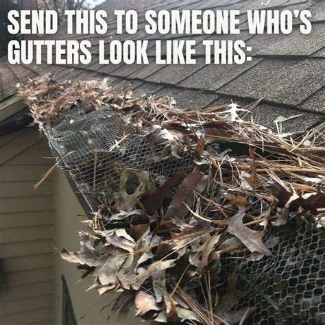 Image result for KGuard Gutters Problems
