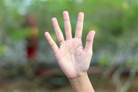 Image result for German Sign Language Numbers Human Hand