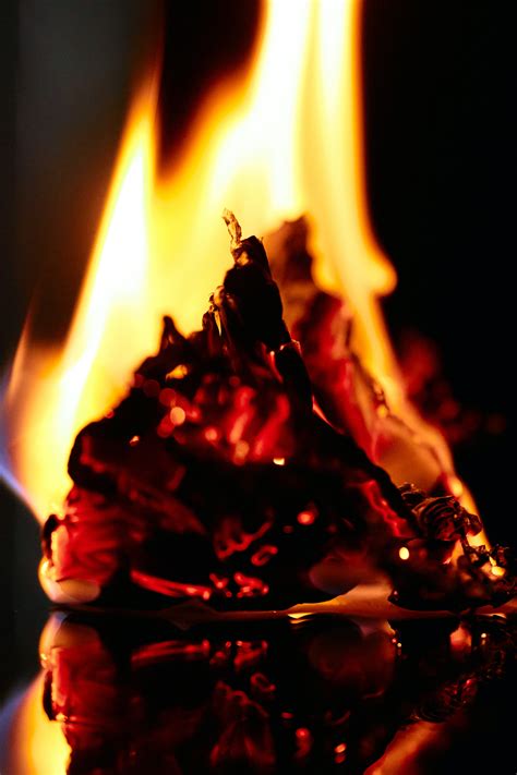 Image result for Free Fire Animation