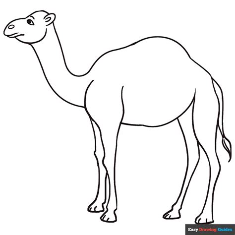 Image result for Camel Drawing Tutorial