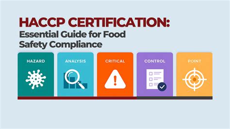 Image result for HACCP Certification Process
