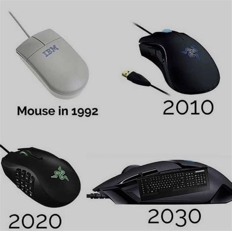 Image result for Computer Mouse Evolution