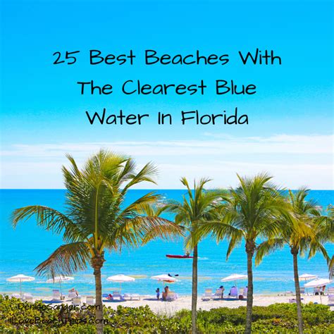 Image result for Clearest Blue