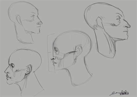 Image result for Morpho Problem