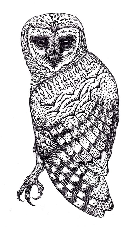 Image result for Graphite Drawing of Owl
