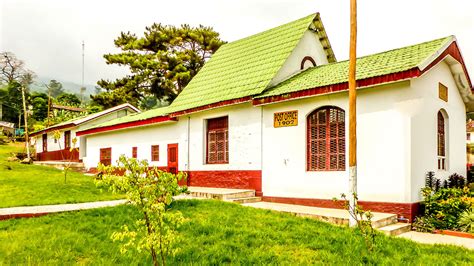 Image result for Python Buea Cameroon