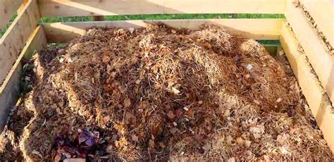 Image result for Using Homemade Garden Compost