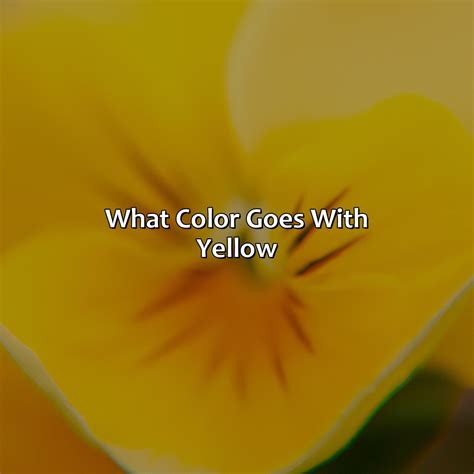 Image result for Jet Fuel Color