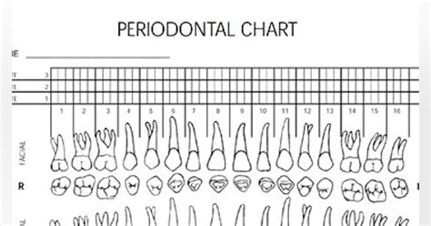 Image result for Axium Perio Chart