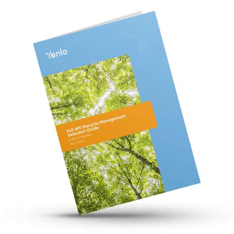 Image result for API Lifecycle Management