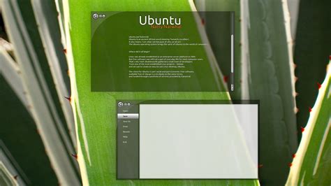 Image result for Ubuntu Unity Leopard Theme
