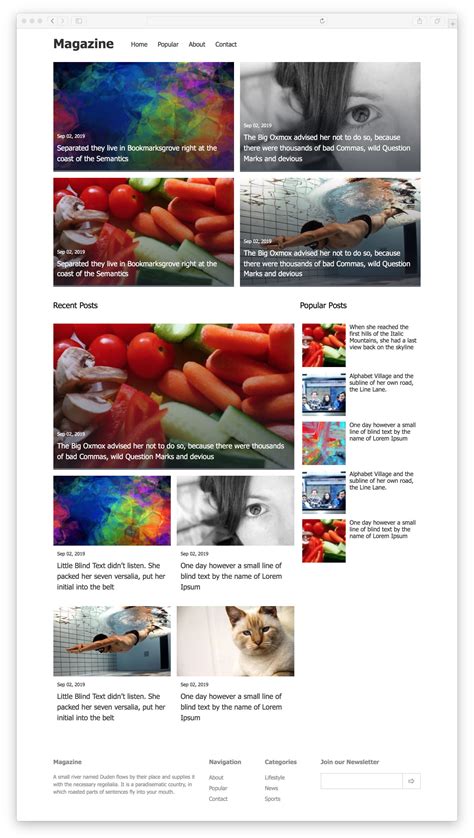 Image result for Magazine/Blog Layout