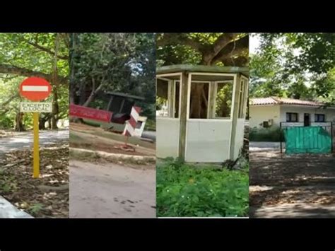 Image result for Alien De Punto Cero