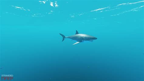 Image result for Stranded Deep PC Controls